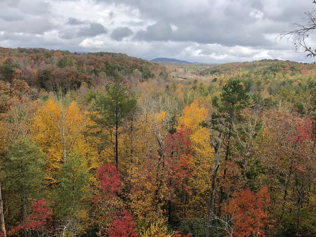 The 10,000 foot view – everyday fatherhood