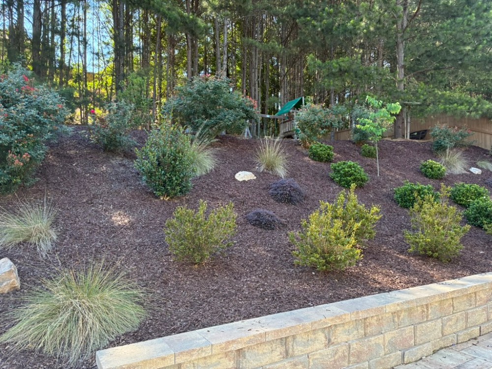 Everything is mulch. – everyday fatherhood
